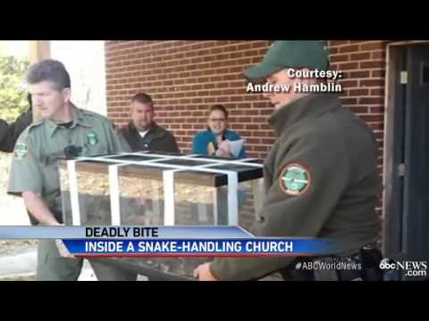 Snake Worshiping Pastor Dies From a Poisonous Rattle Snake Bit - YouTube