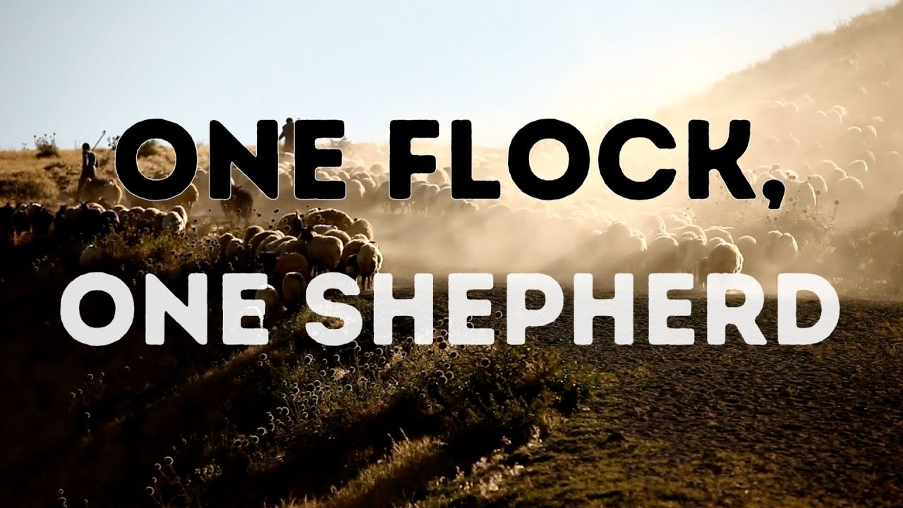 Gathering the Flock: One Flock, One Shepherd - YouTube