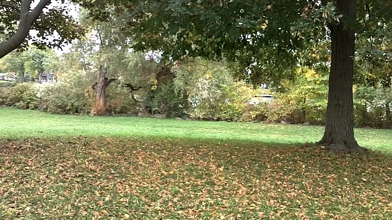 King's Bridge Park, Niagara Falls - YouTube