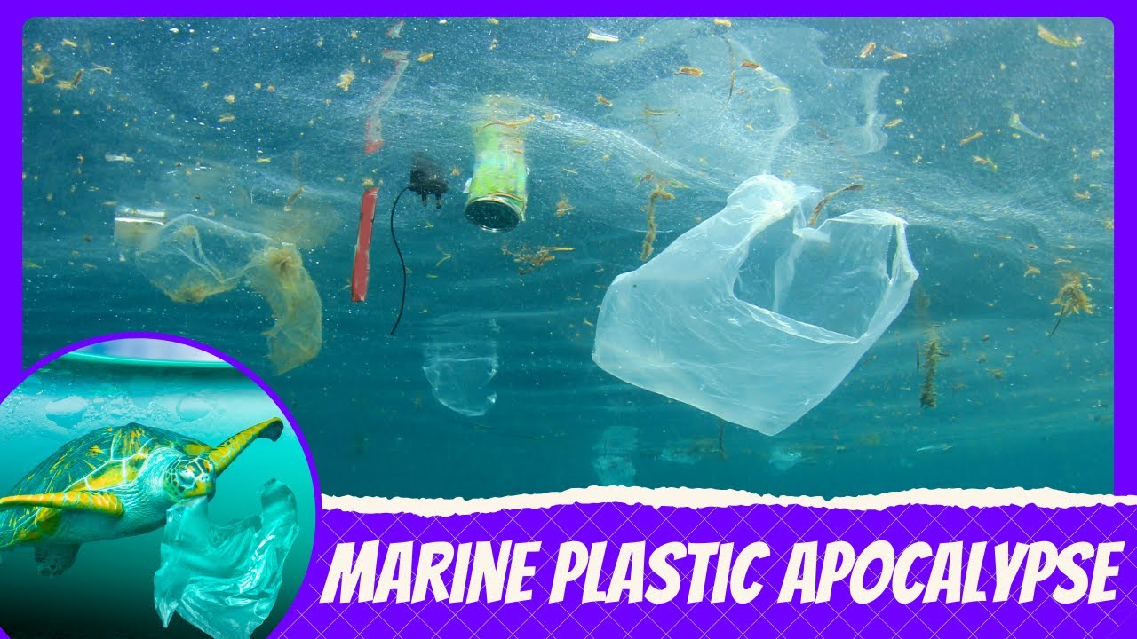 Plastic Apocalypse: The Marine Crisis and How to Fight It - YouTube