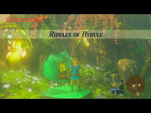 The Legend of Zelda: Breath of the Wild (Wii U) - Side Quest - Riddles ...