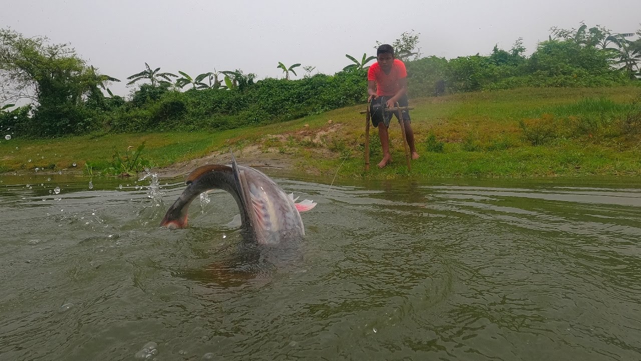 Primitive Fishing Technology! Big Fish Trap! - YouTube