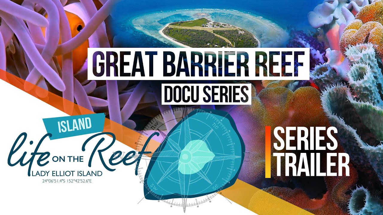 Life on the Reef - Series Trailer - Our Great Barrier Reef YouTube ...