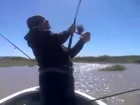 Moustro de Rio Concordia Entre Rios - YouTube