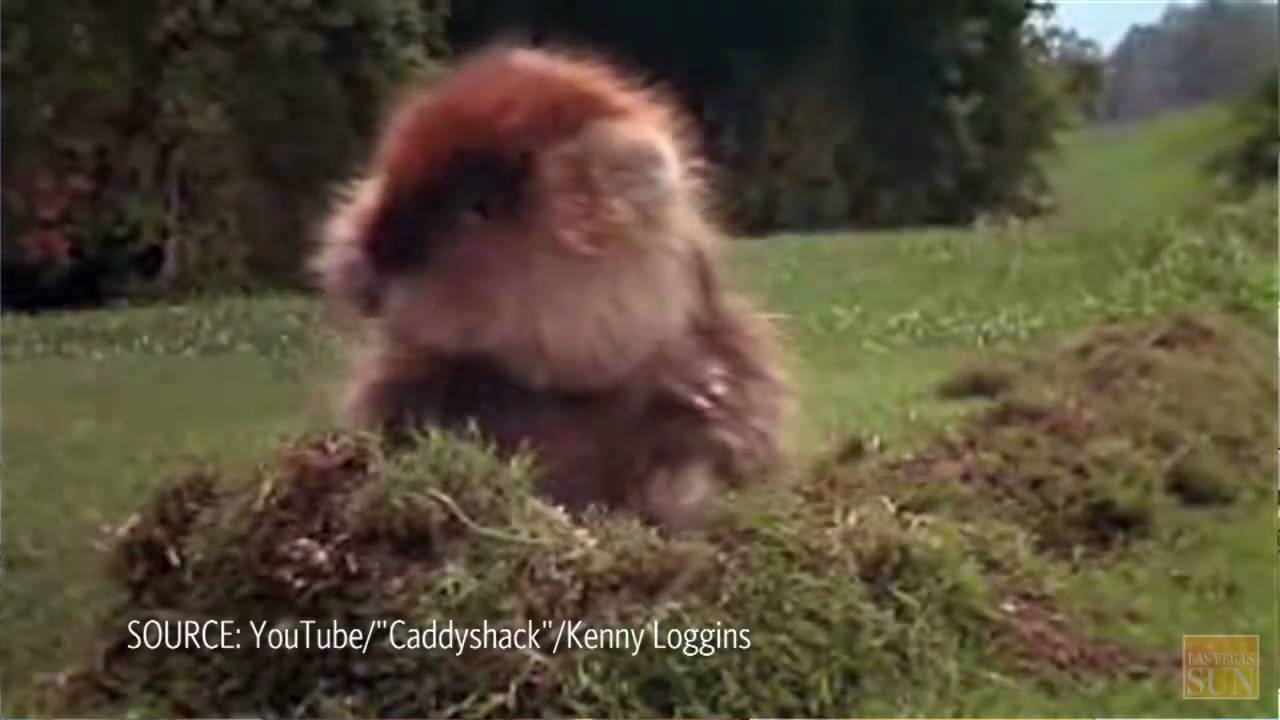 Rodenator: Boom! Goodbye Gophers - YouTube