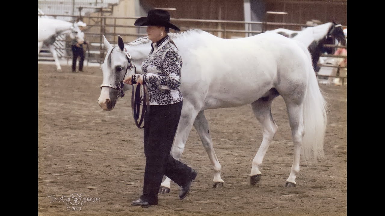 Remembering the Life of Sandra Rae Otto Klose - YouTube