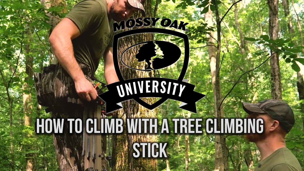 How to Climb with a Tree Climbing Stick - YouTube