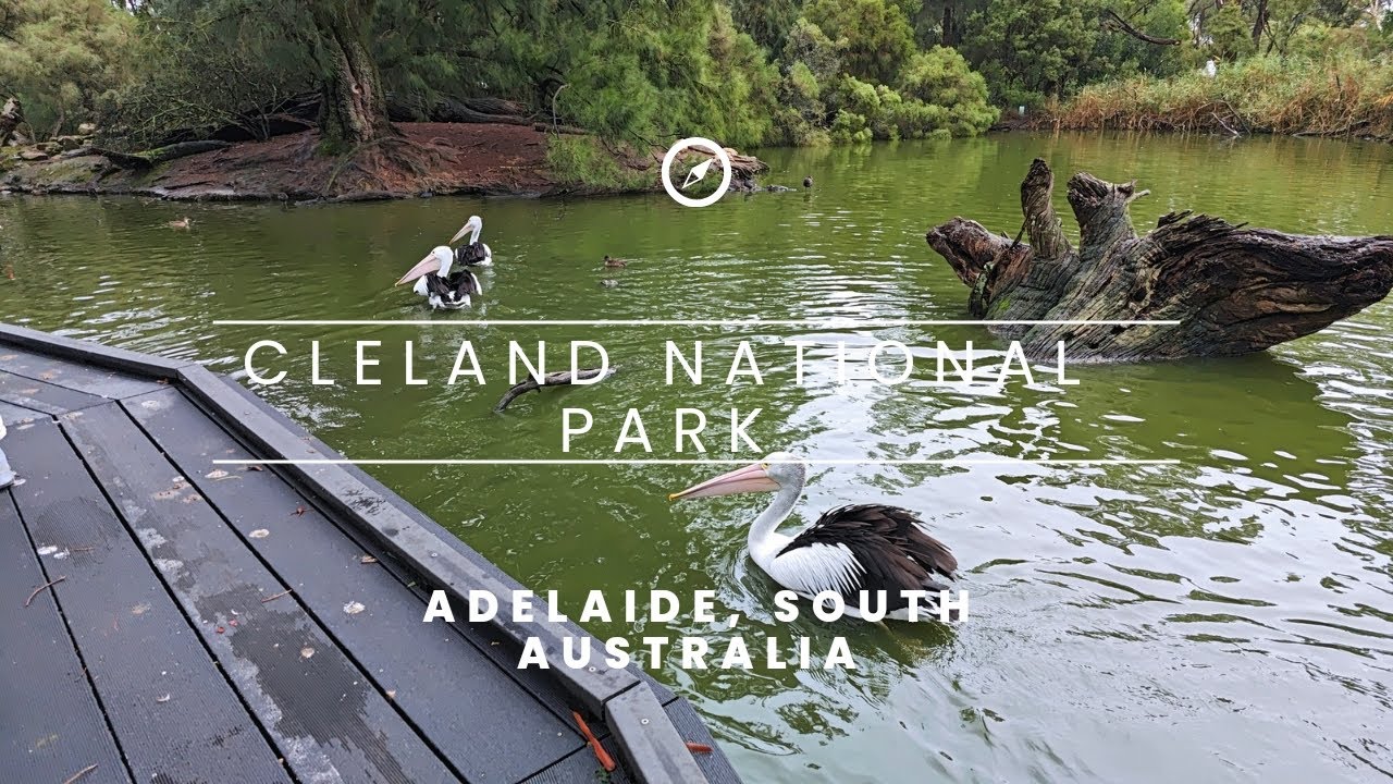 Cleland national park Adelaide South Australia walking tour in 4k - YouTube
