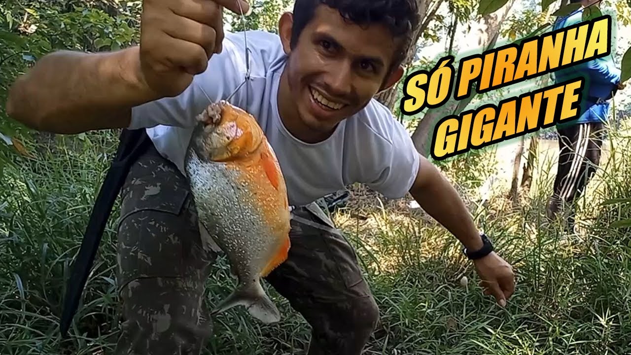 PESCARIA DE PIRANHA, ASSADA NA BEIRA DO LAGO DO BARREIRO - YouTube