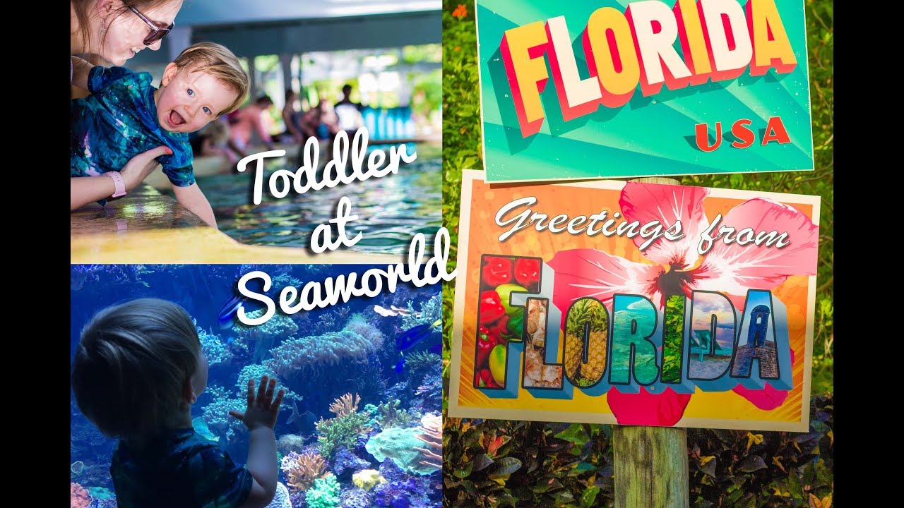TODDLER AT SEAWORLD THEME PARK VLOG SEAWORLD ORLANDO YouTube toddler-at-seaworld-theme-park-vlog-seaworld-orlando-youtube
