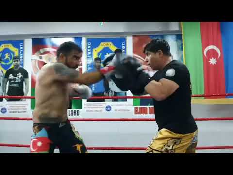 Şikar Bədəlov vs Hakim Hacıyev