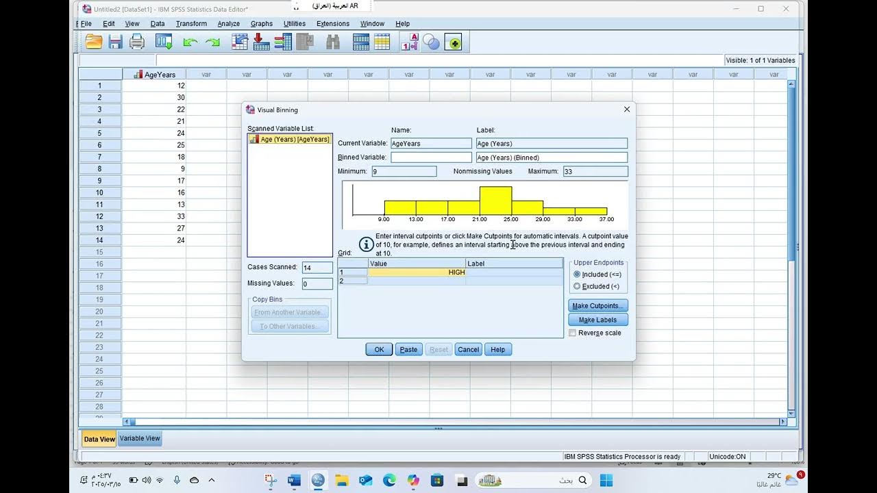 visual binning uses in SPSS program - YouTube