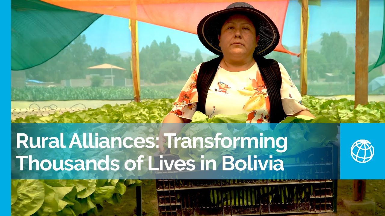 Rural Alliances: The Agriculture Project That Transforms Thousands of ...