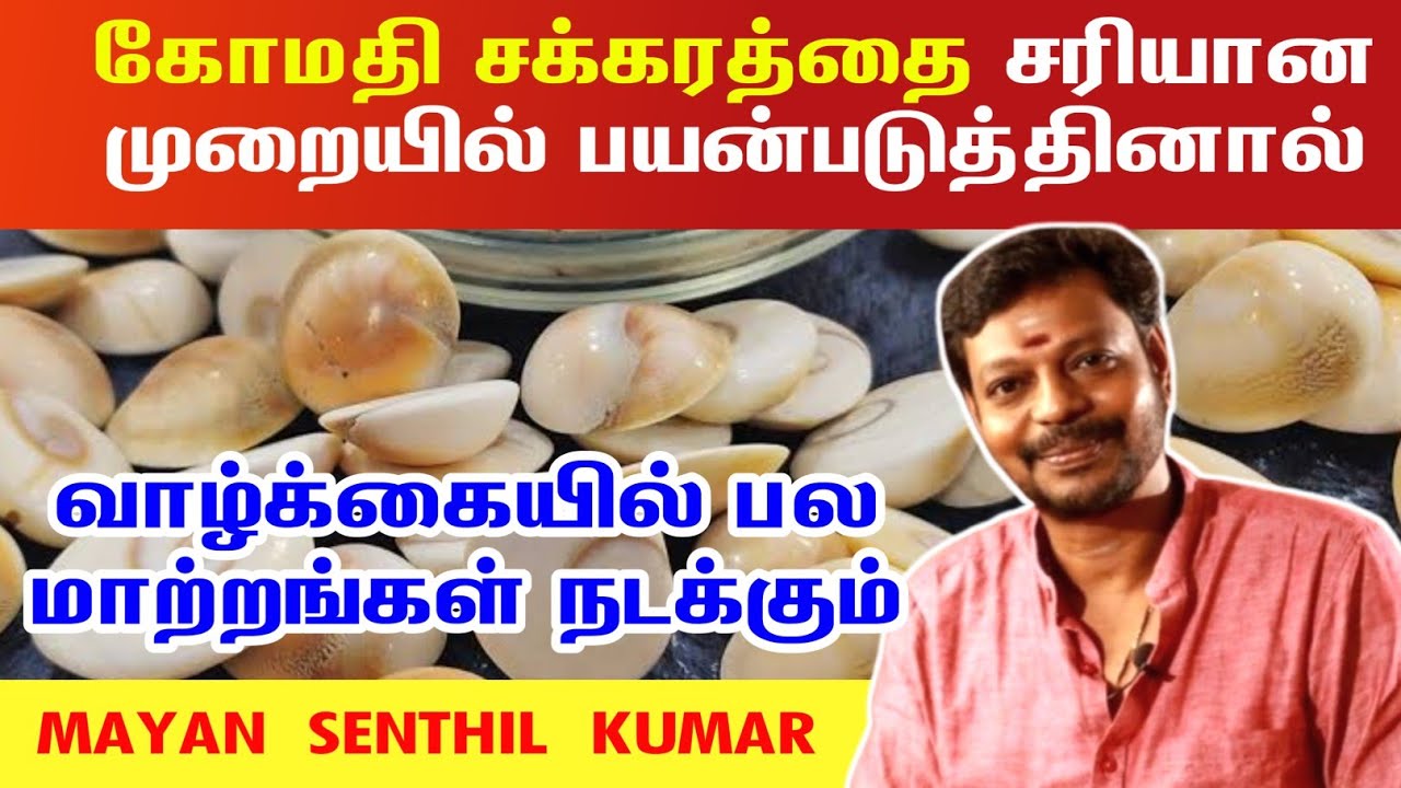 கோமதி சக்கரத்தை இப்படி பயன்படுத்தினால் வாழ்வில் முன்னேற்றம் ஏற்படும் | mayan senthil | gomati ...