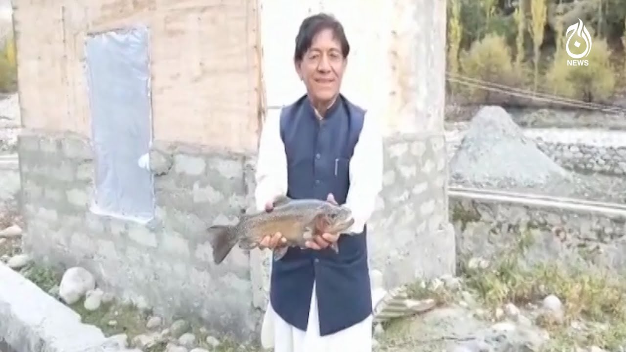 Fish farmers suffer ‘Rs800m of losses after floods - YouTube