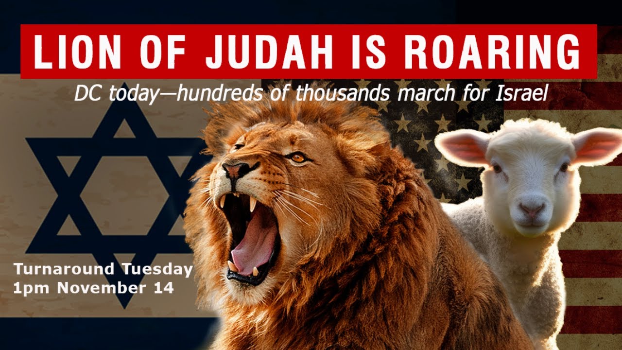 TURNAROUND TUESDAY—THE LION OF JUDAH IS NOW ROARING! - YouTube