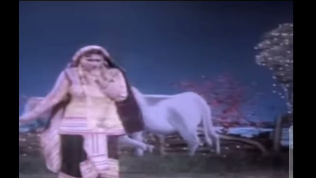 anjuman dance - YouTube
