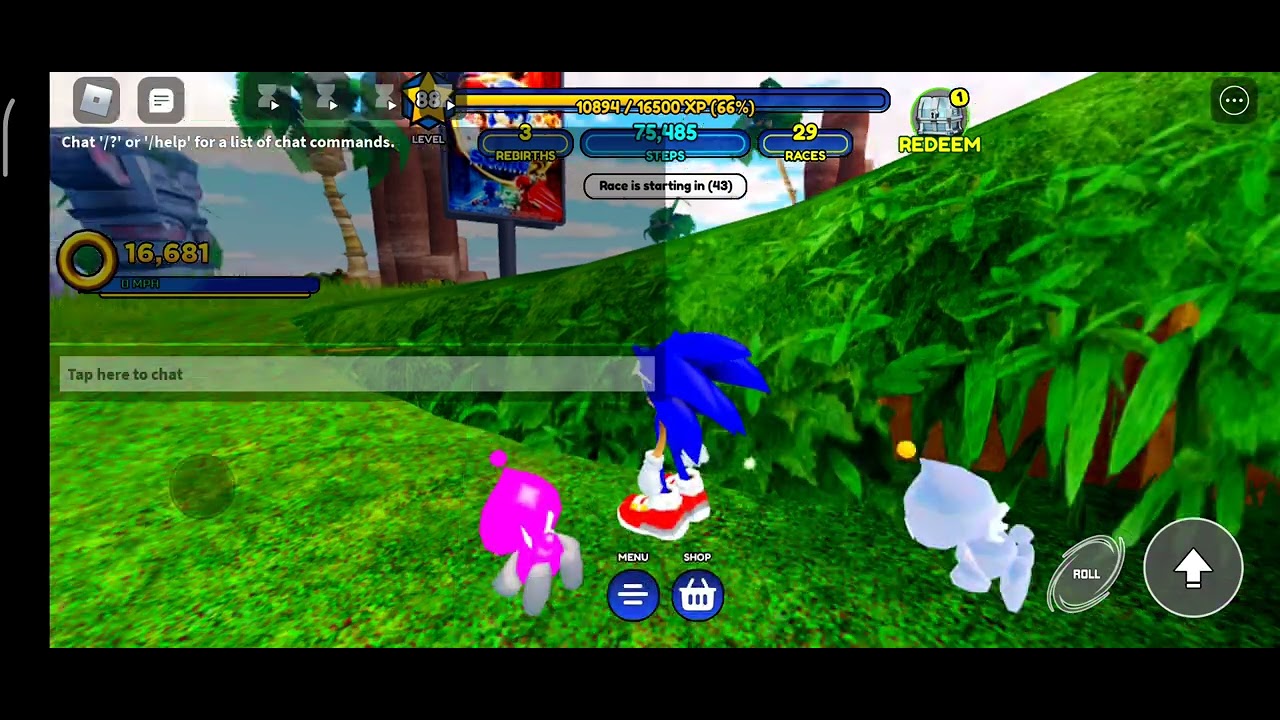 how to get sonic in sonic speed sim - YouTube