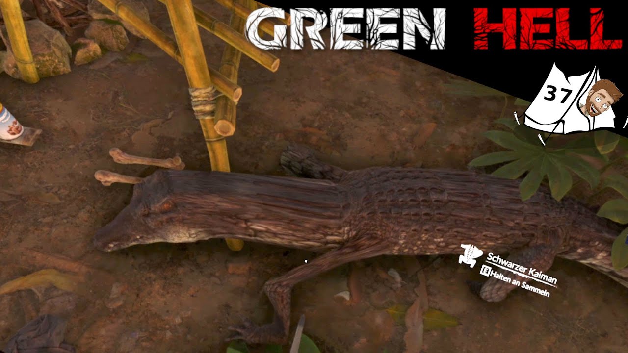 Green Hell 37 | Nice Kopf Bro - YouTube