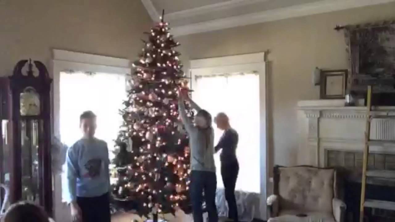 Christmas Tree Time Lapse - YouTube