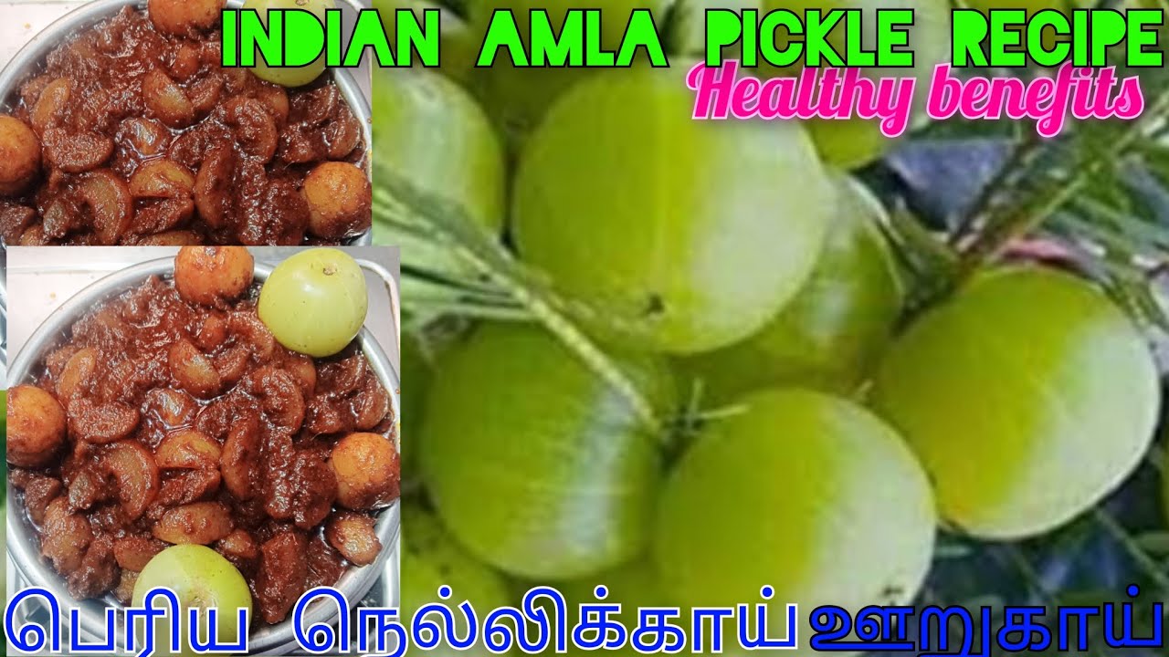 Indian food amla pickle recipe in tamil healthy benefits பெரிய ...