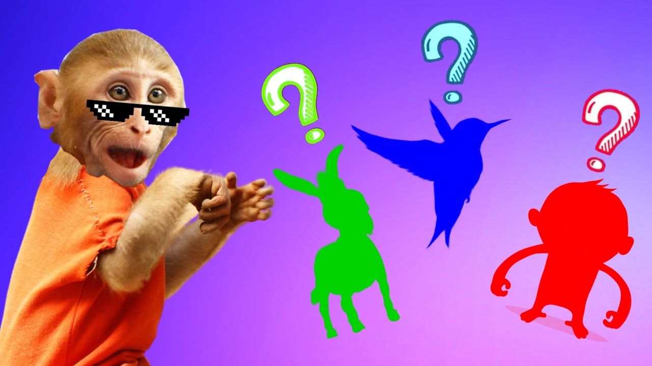 Tickle Animal + More | Kids Songs and Nursery Rhymes | Jerry monkey ...