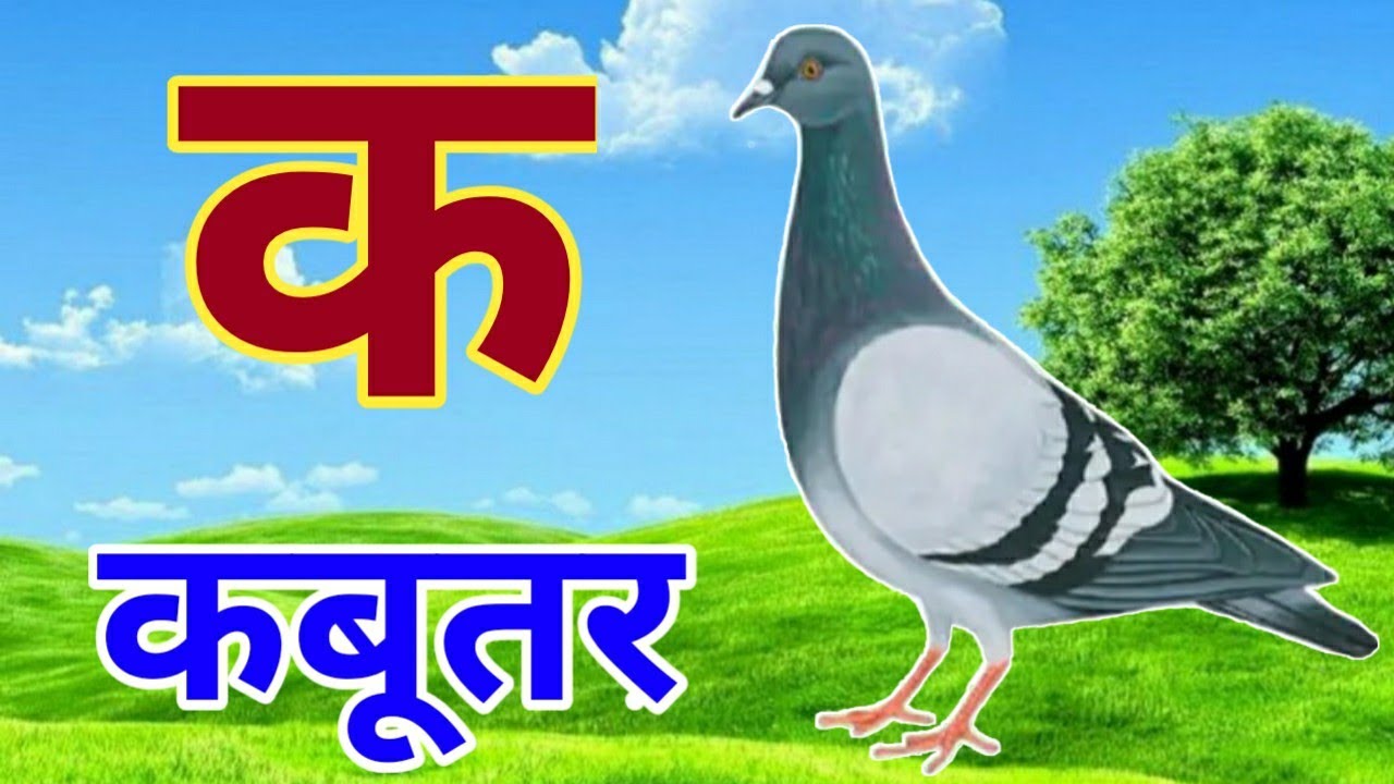 अ से अनार, आ से आम, हिन्दी वर्णमाला,अआइईउऊ,क से कबूतर,a se anar,aa se ...