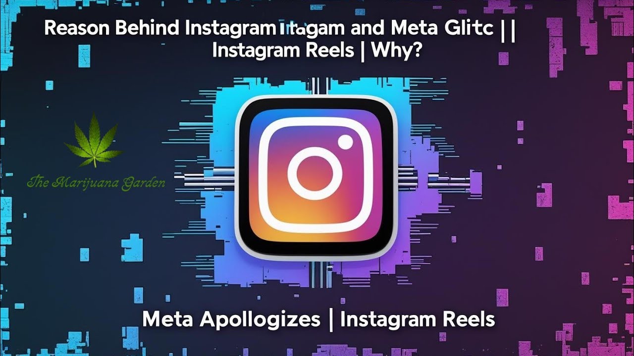 Reason behind instagram and meta glitch | Meta apologizes | Instagram ...