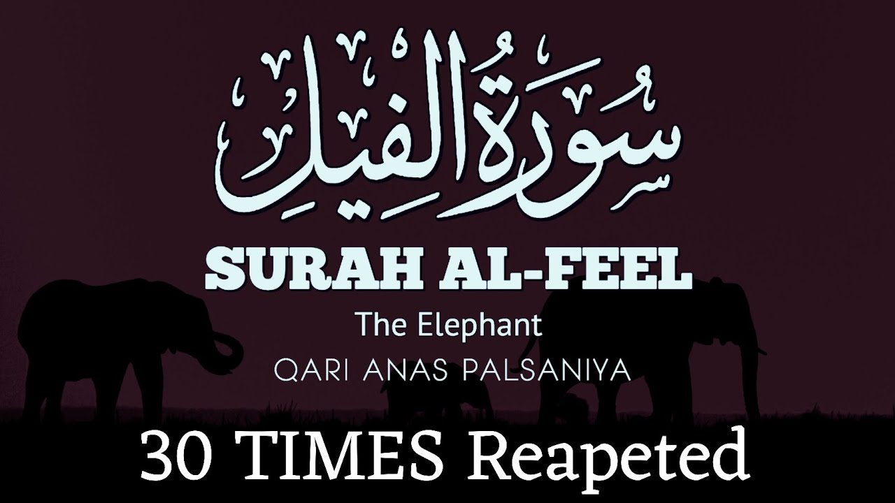 Surah Al Feel 30 Times surah al fil full Surah feel