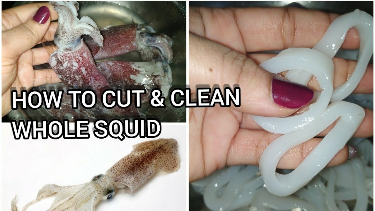 Squid cleaning & cutting | How to clean Squid | Bondas fish cleaning ...