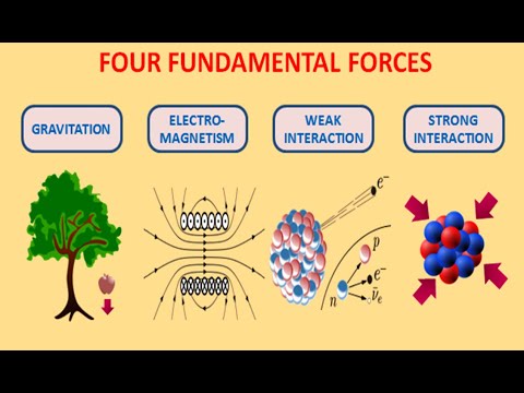 Universal forces - YouTube