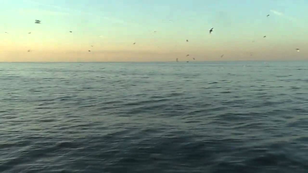 Standard Definition to High Definition Test - YouTube