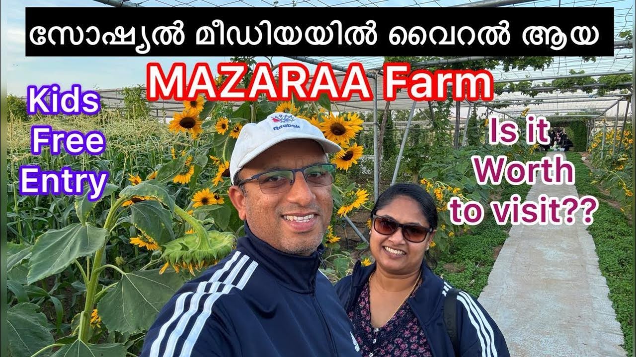 Mazaraa Farm Abu Dhabi | 100% organic shop and cafe in Al Bahyah, UAE ...