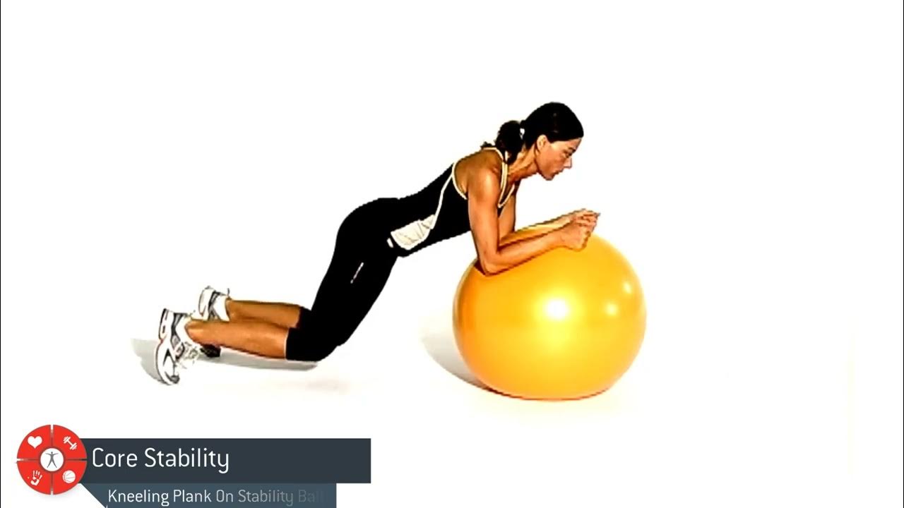 Core Stability - Kneeling Plank on Stability Ball - YouTube