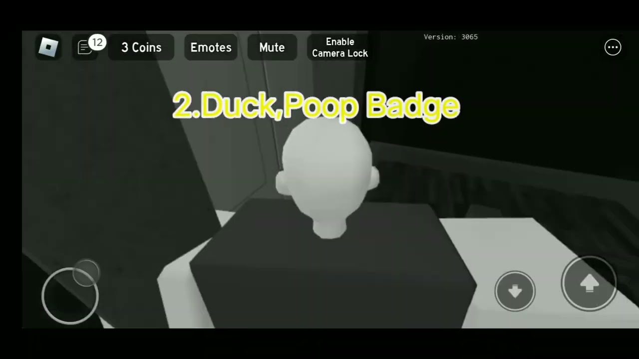 How to get Void, Duck And poop badge. - YouTube