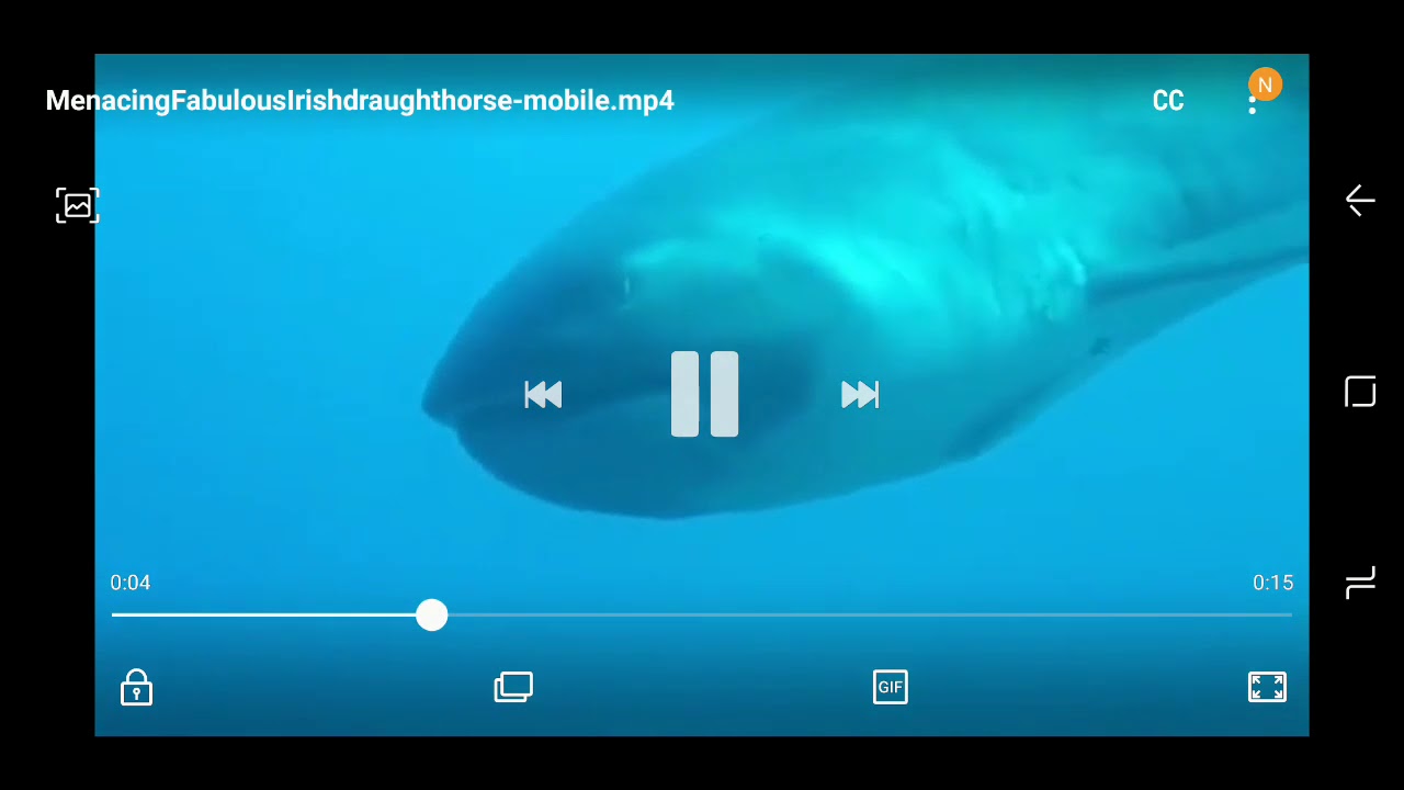 Pac Man Shark - YouTube