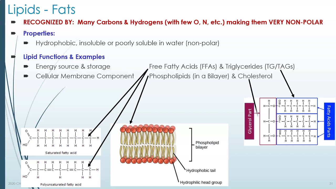 Unit 9d - Biochemicals (29min) - YouTube