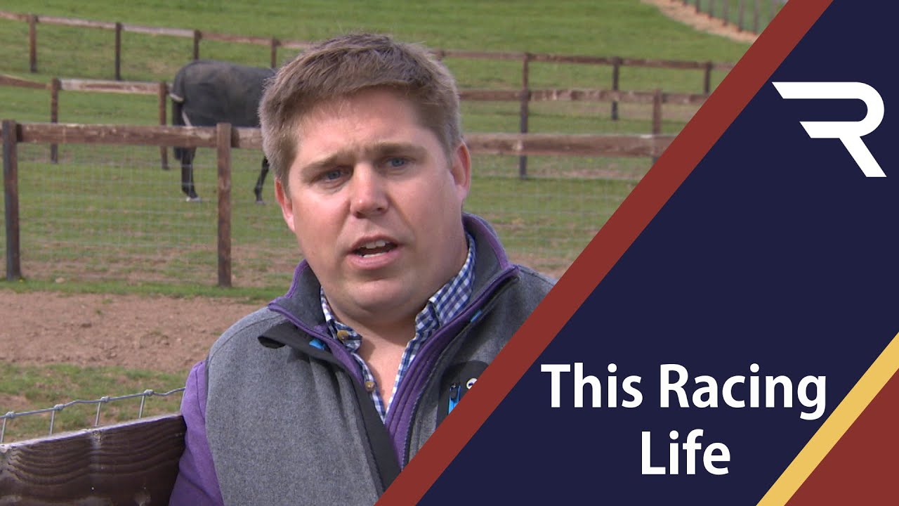 This Racing Life - Dan Skelton - Racing TV - YouTube