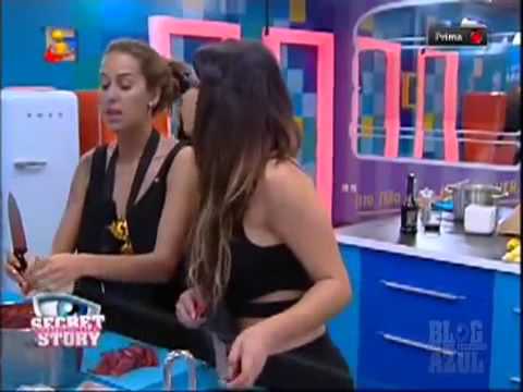 Final Challenge 3 Discussion Sofia and Erica
