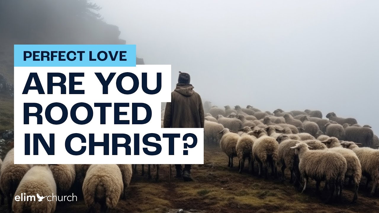 Are You Rooted & Established In Christ's Love For You? | Elim Church ...