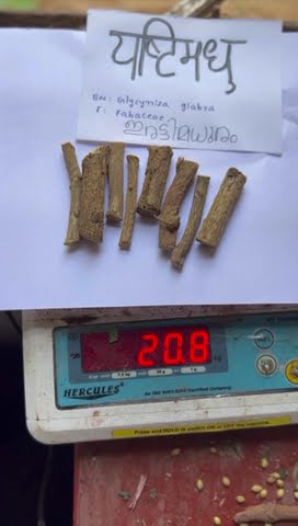 Vyangahara Lepam | Nirvisha 2 | Vishnu Ayurveda College - YouTube