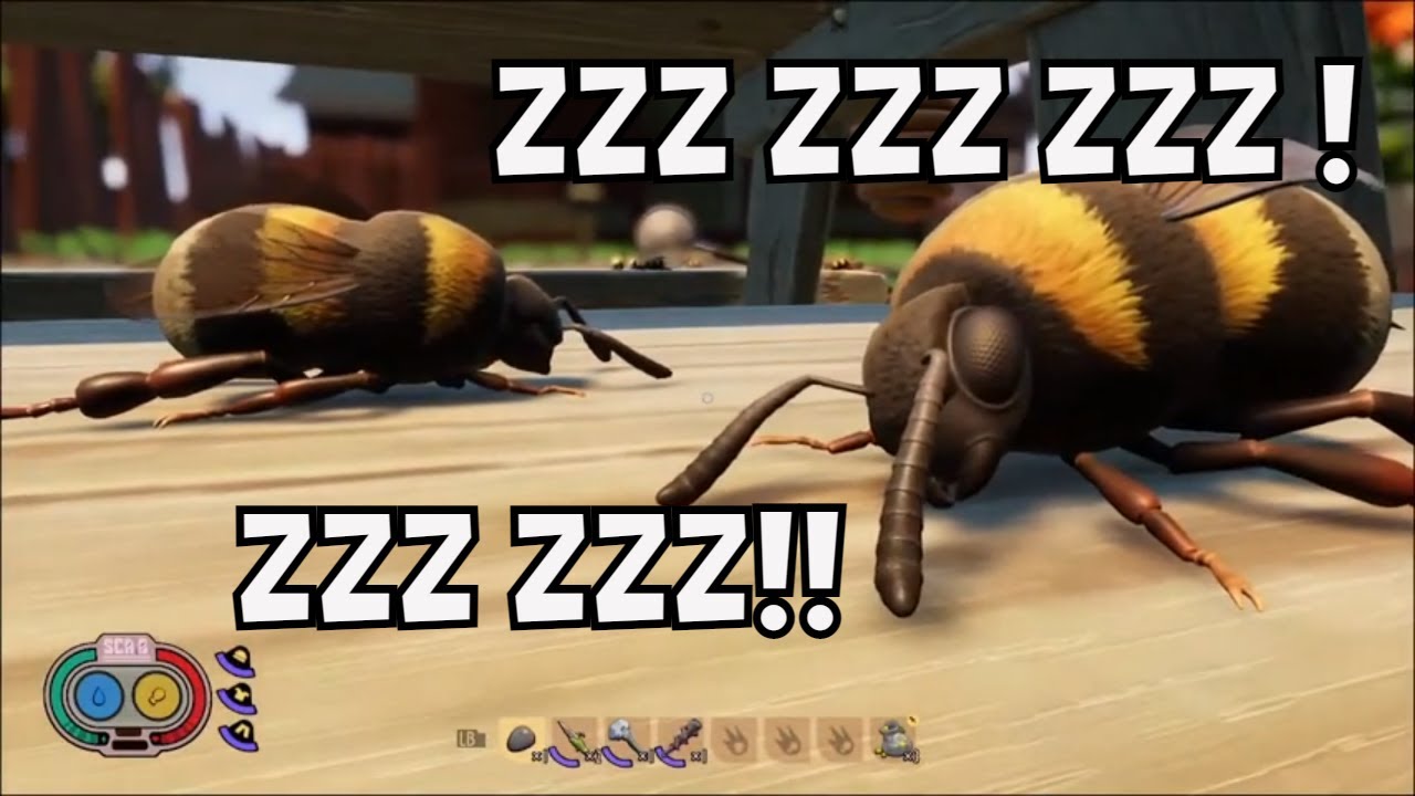 Sleeping, Dreaming, Yawning and Stretching !! Cuteness Bees Grounded ...