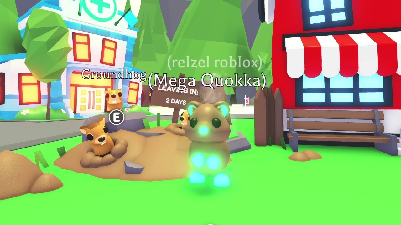 MEGA QUOKKA (Uncommon) - Fly Ride and Tricks Adopt Me - YouTube