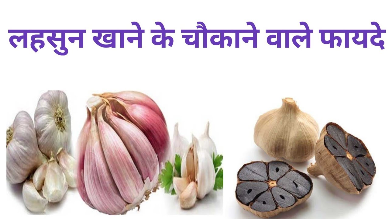लहसुन खाने से फायदा और नुकसान!लहसुन खाने से फायदा!lahsun! Garlic ...
