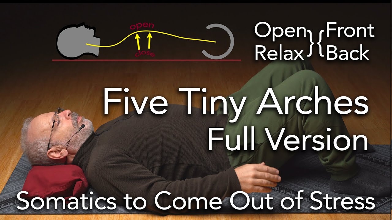 Full Version Five Tiny Arches | Somatics Arch and Flatten Variation ...