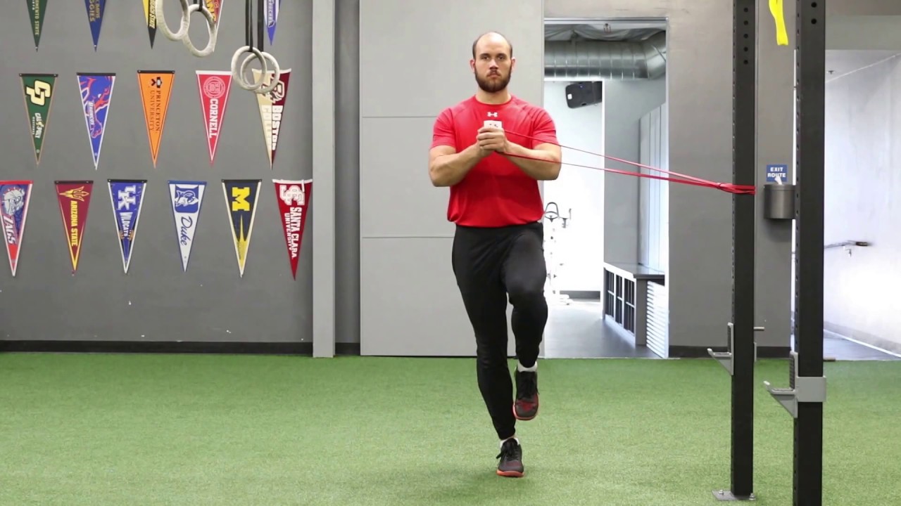 Pallof Press Drawing