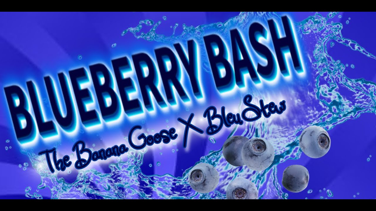 Blueberry Bash (The Banana Goose X BleuStew) - YouTube