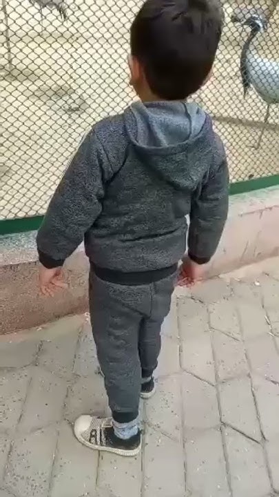 Hazzi Malik - YouTube