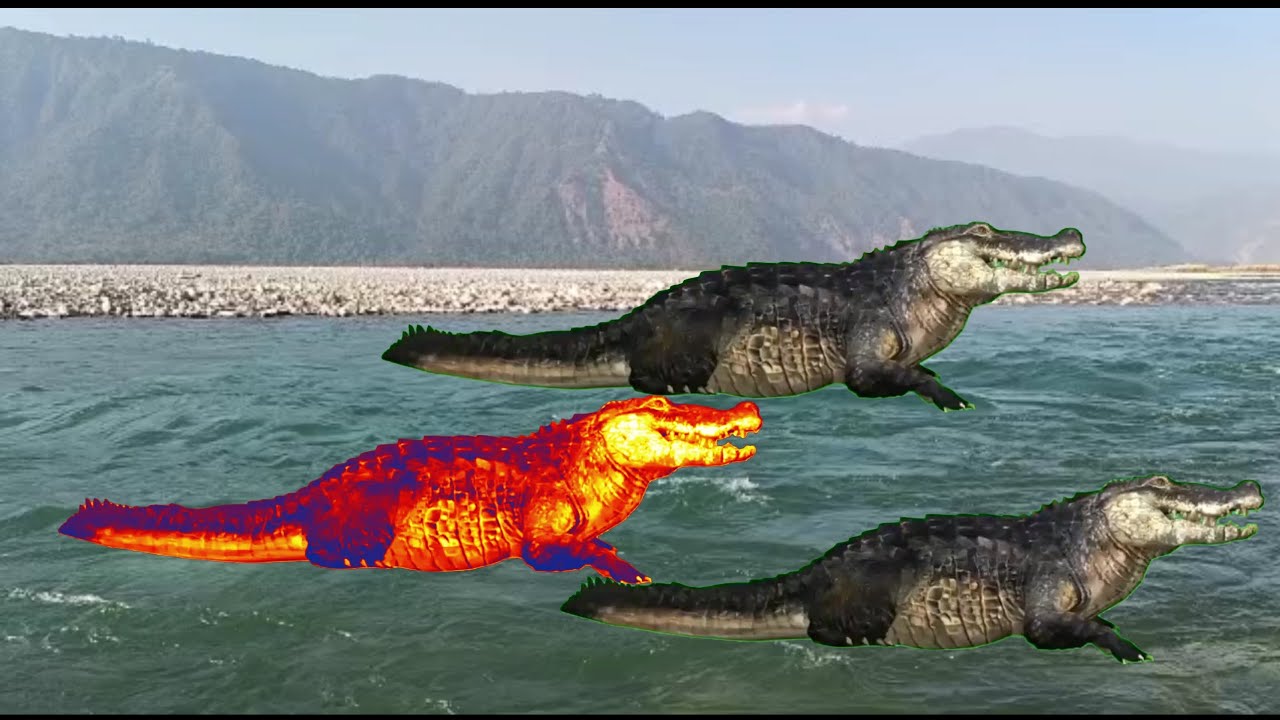 crocodile 🐊 🐊 T-Rex 🦖🦖🦖🦖 #dinosour #crocodile cartoon #monkey dance # ...