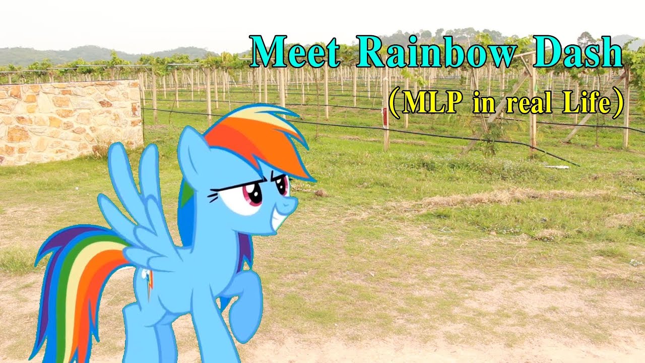 Frist Sonic Rainboom (MLP in real Life) - YouTube